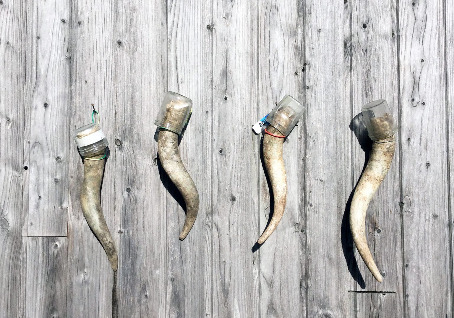 Préparations • René Becker Conseil et formation